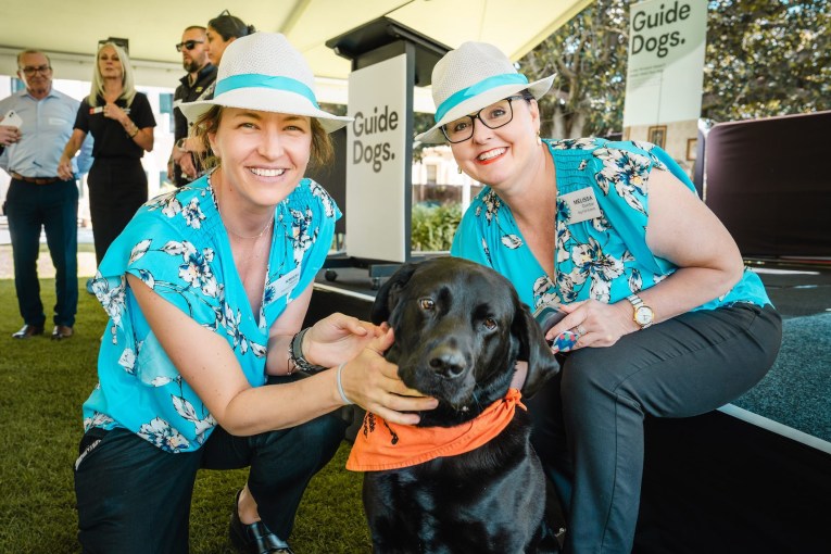 Guide Dogs SA/NT event - InDaily Guide Dogs SA/NT event - InDaily